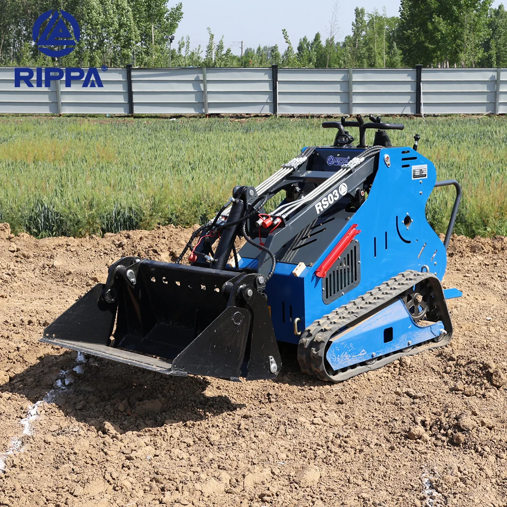 Skid Steer vs Compact Track Loader: Which One Is Right for Your Project ...